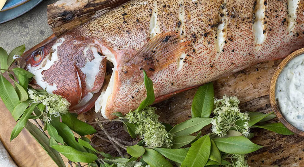 Events from 19 June – 26 July – Destination Scenic Rim